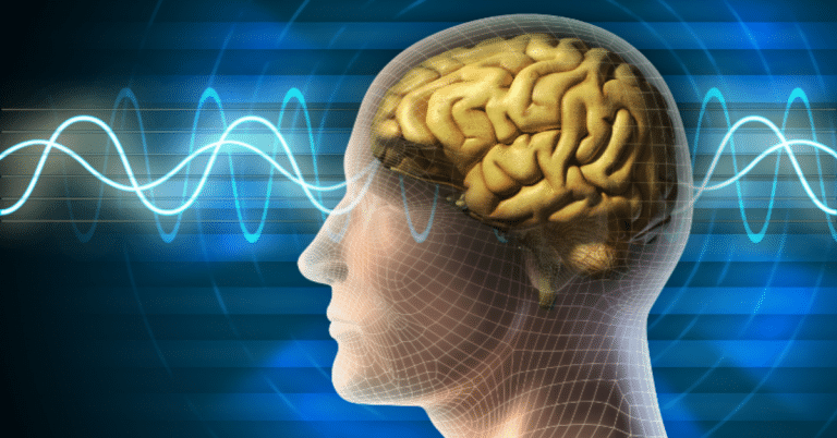 Você sabe quais são as 12 dimensões da consciência? Você sabe quais são as 12 dimensões da consciência?